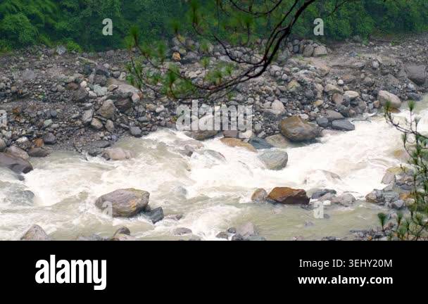 Brown cow lying on rocky riverbank near fast-flowing glacial stream ...