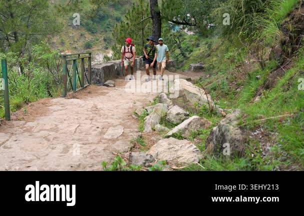 Group of hikers navigating a narrow stone path surrounded by greenery ...