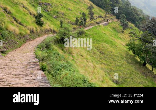 A narrow stone trail meanders through verdant grassy slopes and dense ...