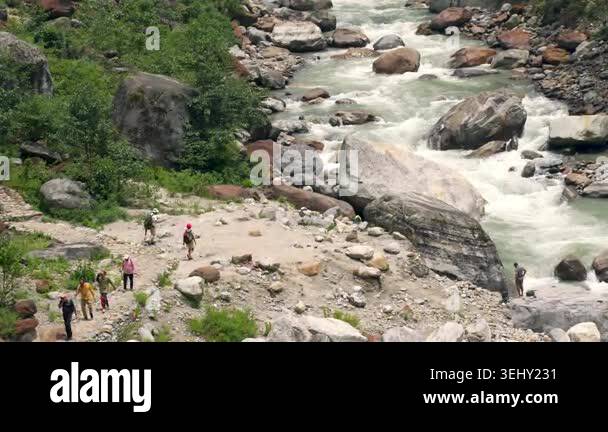 Group of hikers navigating a shallow mountain stream surrounded by ...