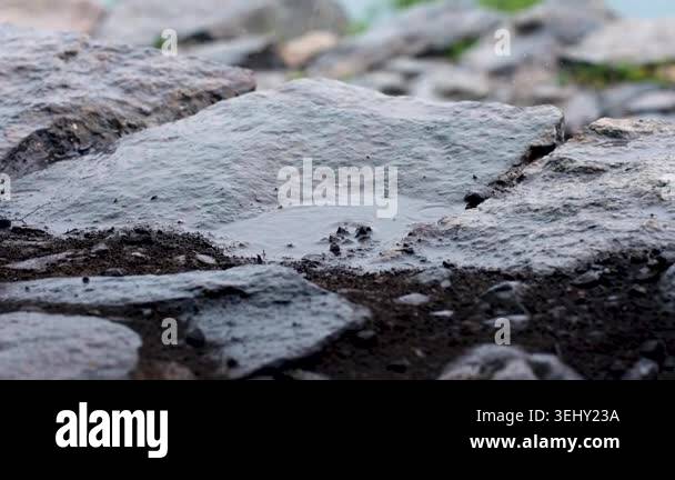 Close-up of a snow-dusted rocky path on a high-altitude mountain slope ...
