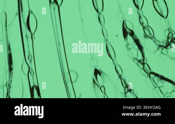Vibrant green fluid macro featuring vertical bubble chains and organic ...