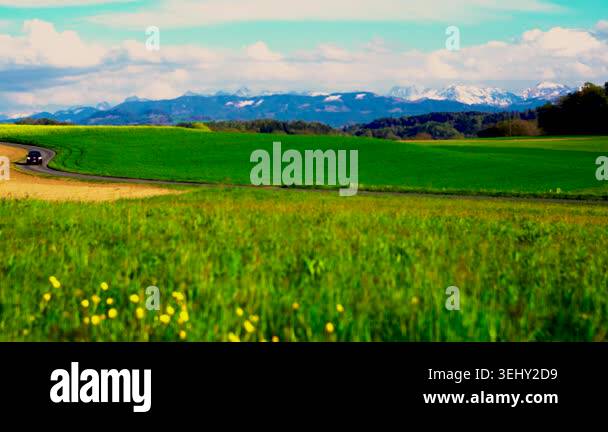 auto horse on a meadow Stock Video Footage - Alamy