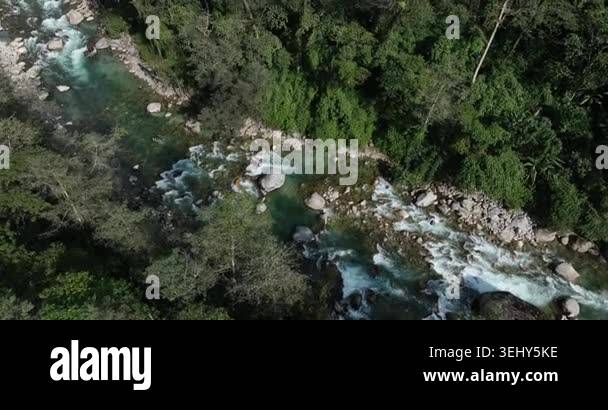 a view of river with a forest in the mountains Stock Video Footage - Alamy
