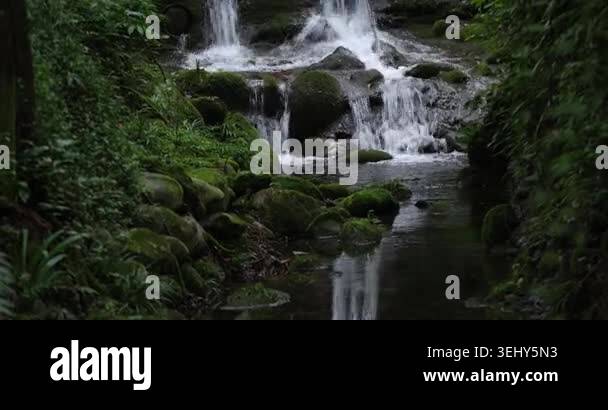 Waterfall in the green forest close-up view Stock Video Footage - Alamy