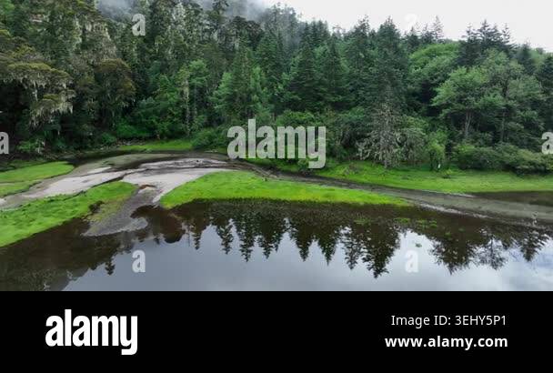 Aerial view of beautiful high altitude mountain forest and river ...