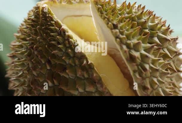 A fresh peeled ripe durian close-up view Stock Video Footage - Alamy