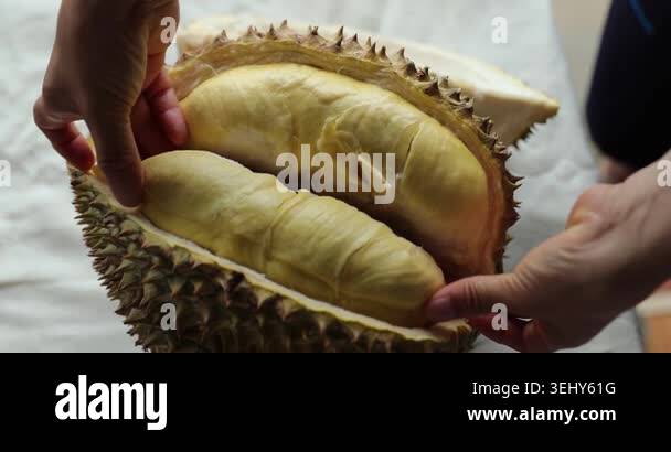 A fresh peeled ripe durian close-up view Stock Video Footage - Alamy