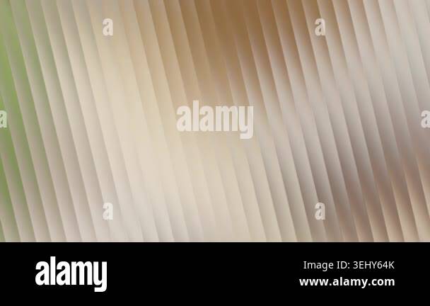 Vertical blinds with soft gradient light and shadow creating a textured ...