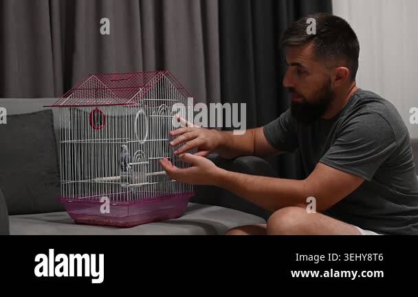 A man with a beard caught a parrot in a cage, a scarecrow, a small blue ...
