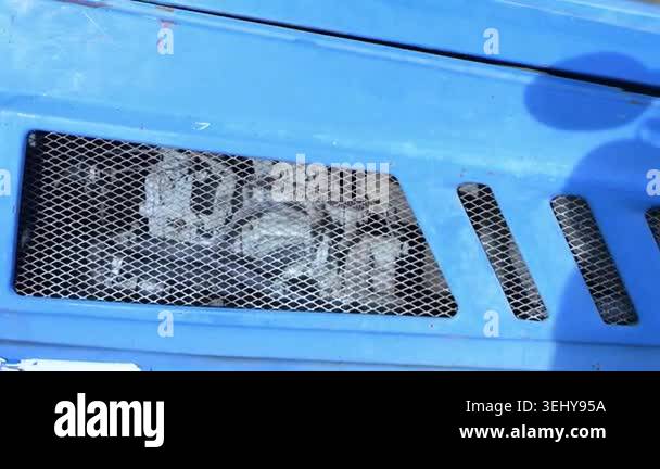Vibration of a small tractor diesel engine. A powerful engine sits ...