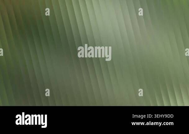 Abstract vertical blinds pattern with soft green and gray gradient ...