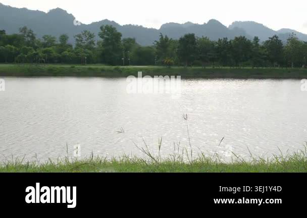 Serene lake video with calm water, green vegetation, forest hills and ...
