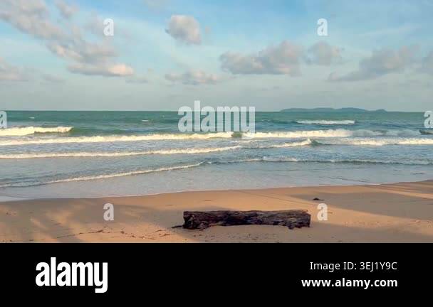 Video of sandy beach with driftwood, gentle waves, and serene horizon ...