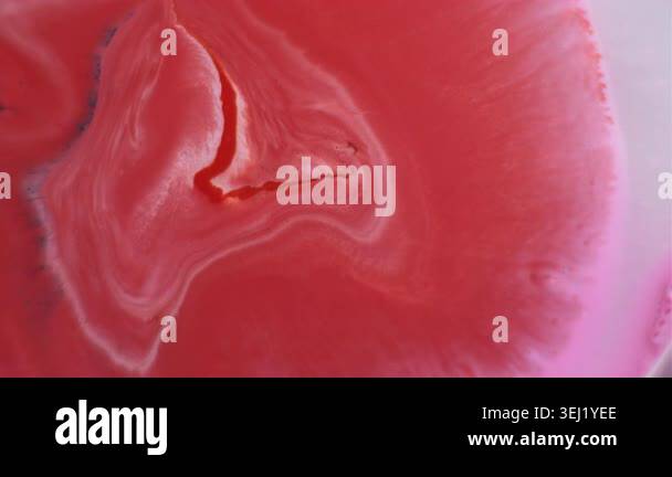 Watercolor drop. Ink splash. Red pigment spatter on white art liquid ...