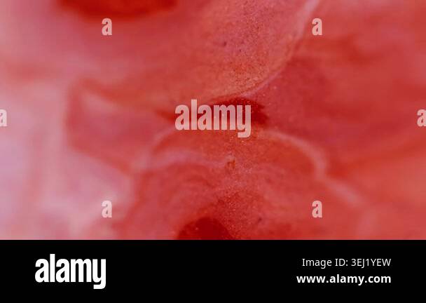 Vertical video. Stains art. Ink background. Defocused pink red color ...