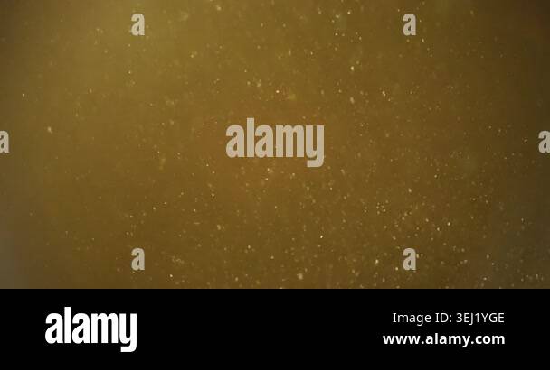 Blur sparkle. Light glitter dots. Golden yellow circle stream blend ...