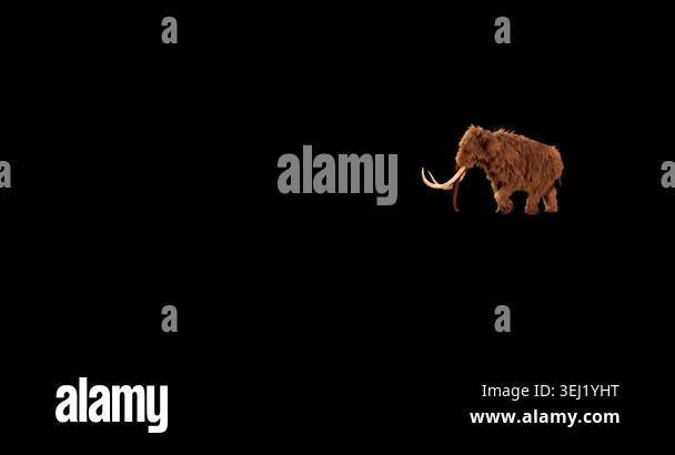 silhouette of a big bull on black background Stock Video Footage - Alamy