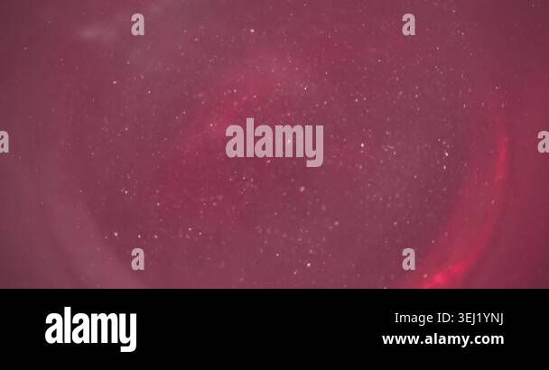 Defocused glitter vortex. Paint water. Pink liquid flowing in round ...