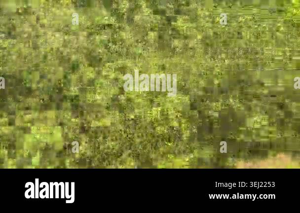 Motion blurred green forest landscape during moving travel through ...