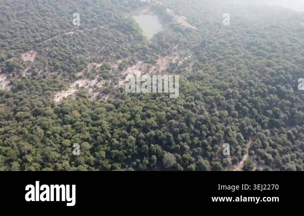 Tilla jogian forest pond glistens after rain then drone pans to ...