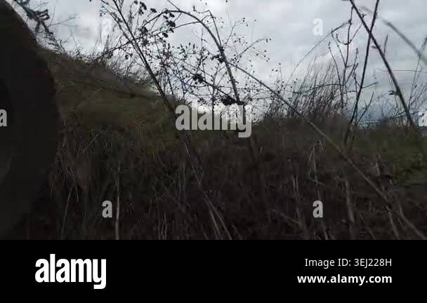 Footage of concrete drainage pipe surrounded by dry grass on coastal ...