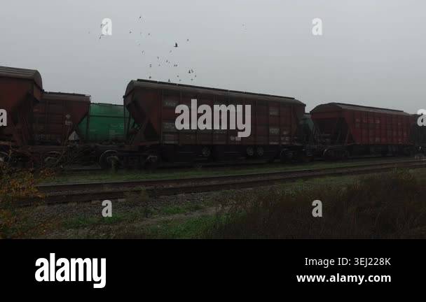 Freight railway wagons standing on tracks with flock of birds flying ...