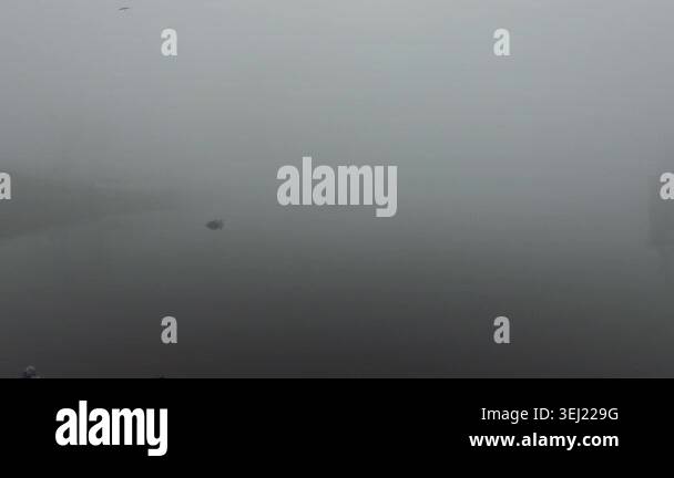 Dense morning fog over calm harbor water with faint boat silhouettes ...