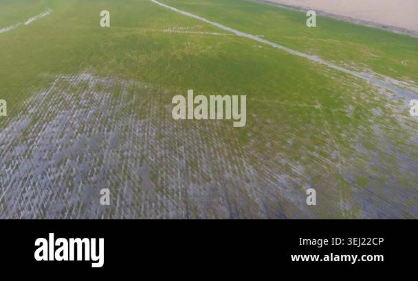 Drone aerial footage of flooded agricultural crops with standing water ...