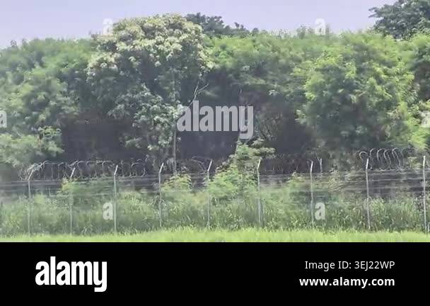 fence of the fence in the garden Stock Video Footage - Alamy