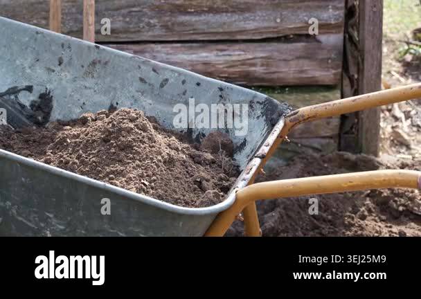 Shoveling Soil into Wheelbarrow, Gardening, Farming and Construction ...