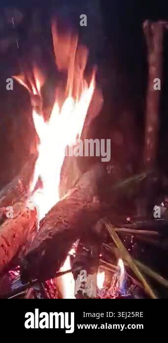 bonfire in the forest. bonfire and campfire in the forest Stock Video ...