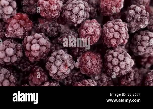 Frozen blackberries with green leaves and flowers Stock Video Footage ...