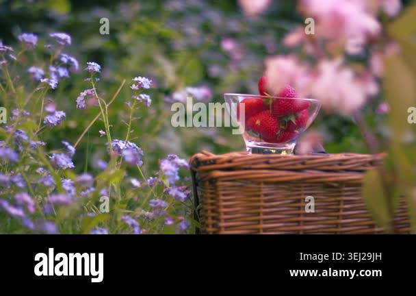 Strawberries on vintage picnic basket through view of summer flowers ...