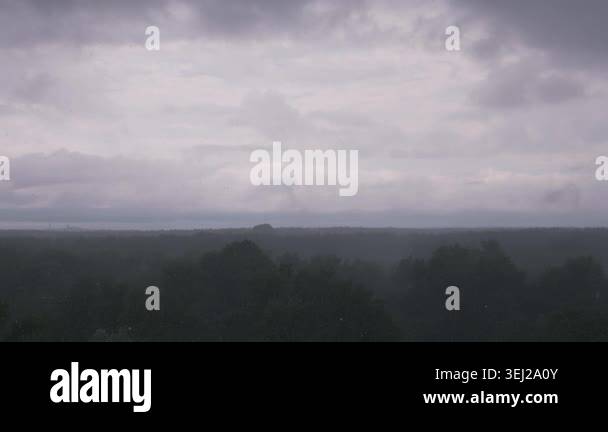 Heavy rain pours down over a dense forest canopy under a gloomy sky ...