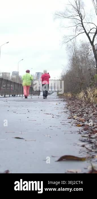 Two elderly woman in autumn park have modern healthy training - nordic ...