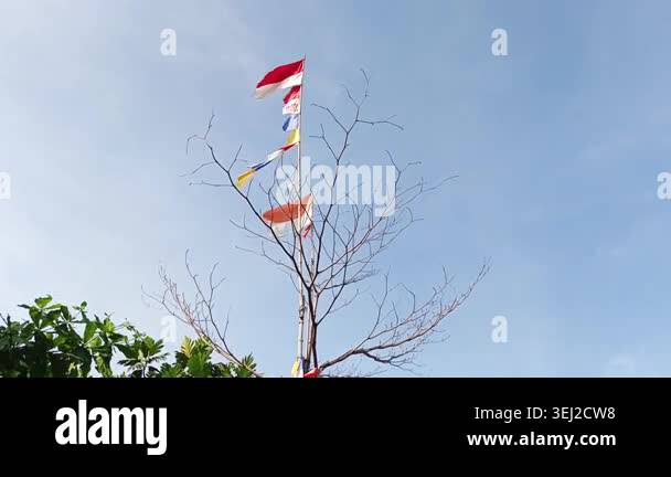 Leafless Tree with Indonesian Flag, and Colorful Under Blue Sky ...