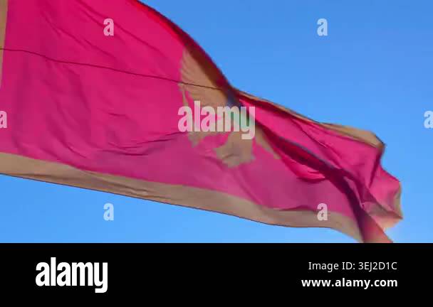 A red and gold Montenegro national flag with double headed eagle waves ...