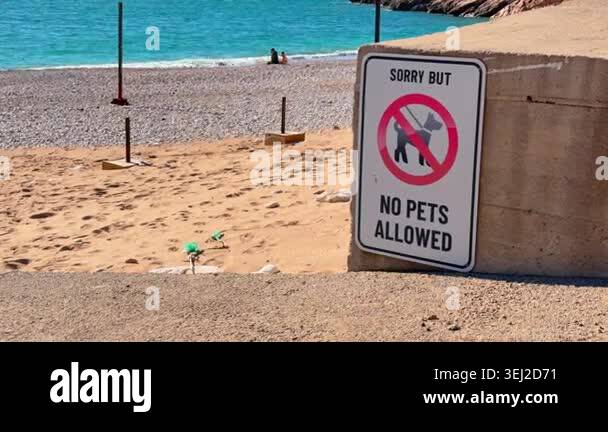 White metal sorry but no pets allowed warning sign mounted on concrete ...