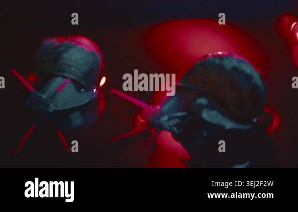 Snails glide across the smooth surface in an aquarium. Blue and red ...