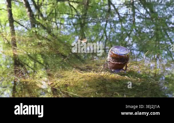 Glass bottle floating in a polluted river with tree reflections Stock ...