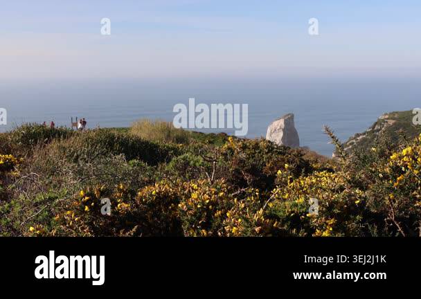 Scenic ocean view from Ursa Beach at Cabo da Roca, Portugal Stock Video ...