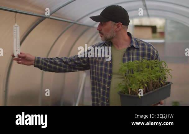 Smiling male gardener monitors eco climate control inside polyhouse ...