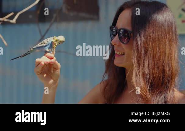 Smiling woman holding small parakeet and feeding bird outdoors Stock ...