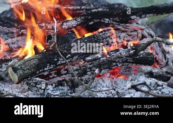 Close-up of a burning bonfire. Bonfire with charred wood, white ash and ...