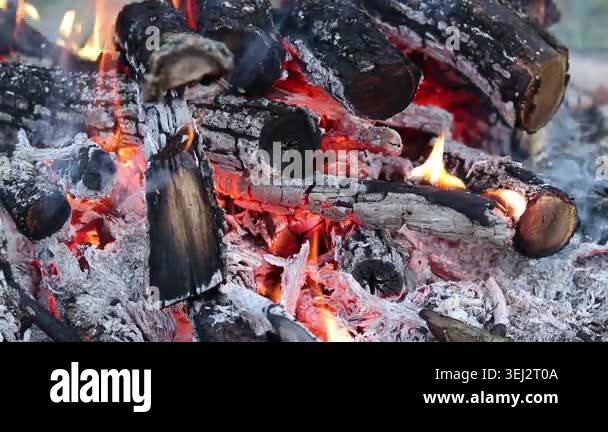 Close-up of a burning bonfire. Bonfire with charred wood, white ash and ...