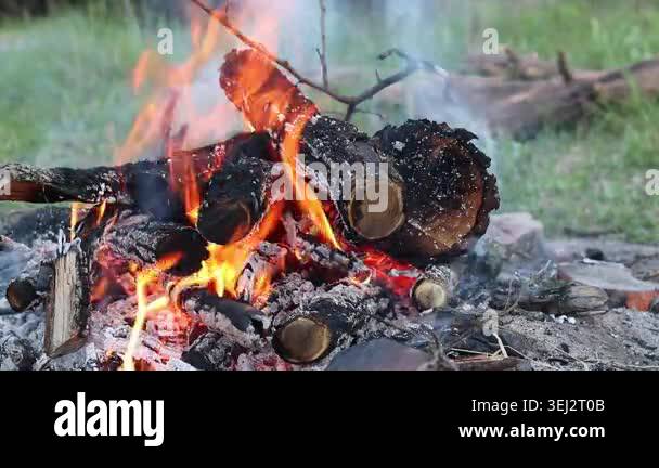 Close-up of a burning bonfire. Bonfire with charred wood, white ash and ...