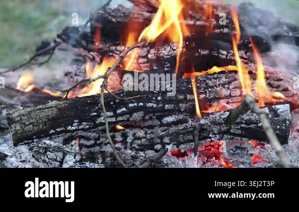 Close-up of a burning bonfire. Bonfire with charred wood, white ash and ...
