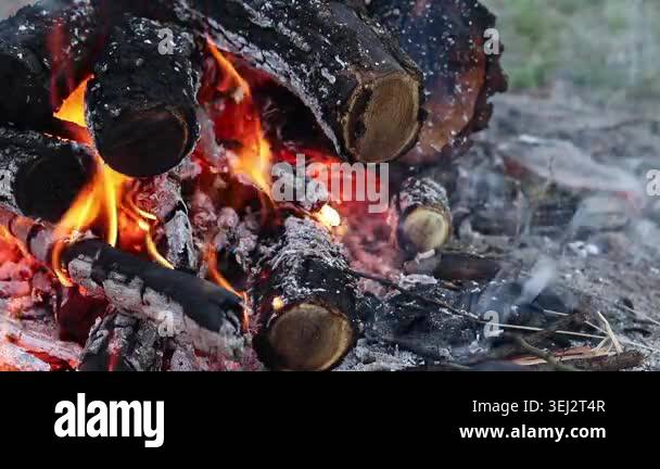 Close-up of a burning bonfire. Bonfire with charred wood, white ash and ...
