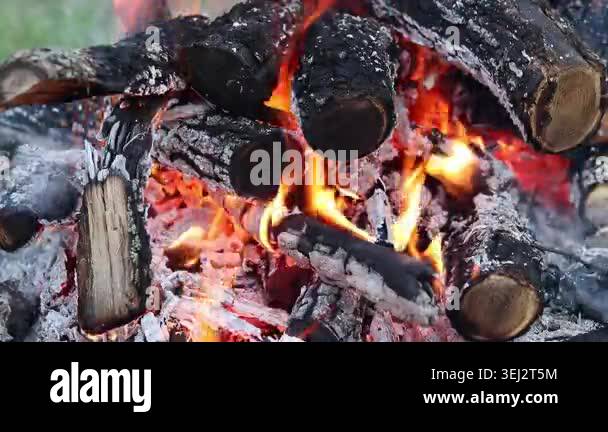 Close-up of a burning bonfire. Bonfire with charred wood, white ash and ...